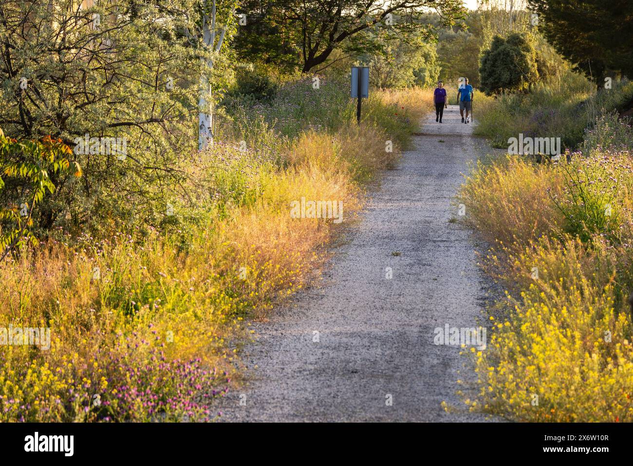 hikers traveling Greenway of Oil Natural Trail, Alcaudete, Jaén ...