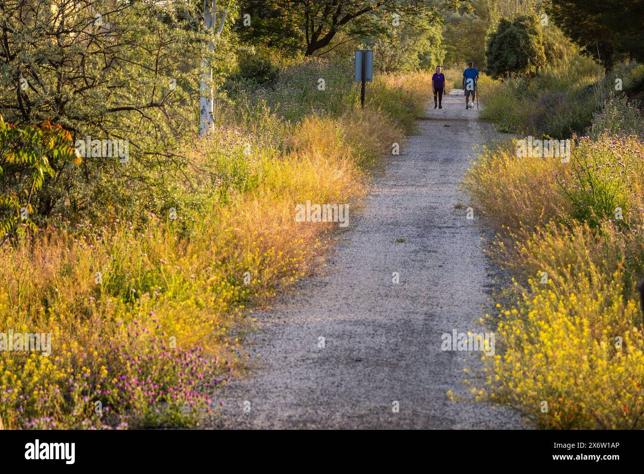hikers traveling Greenway of Oil Natural Trail, Alcaudete, Jaén ...
