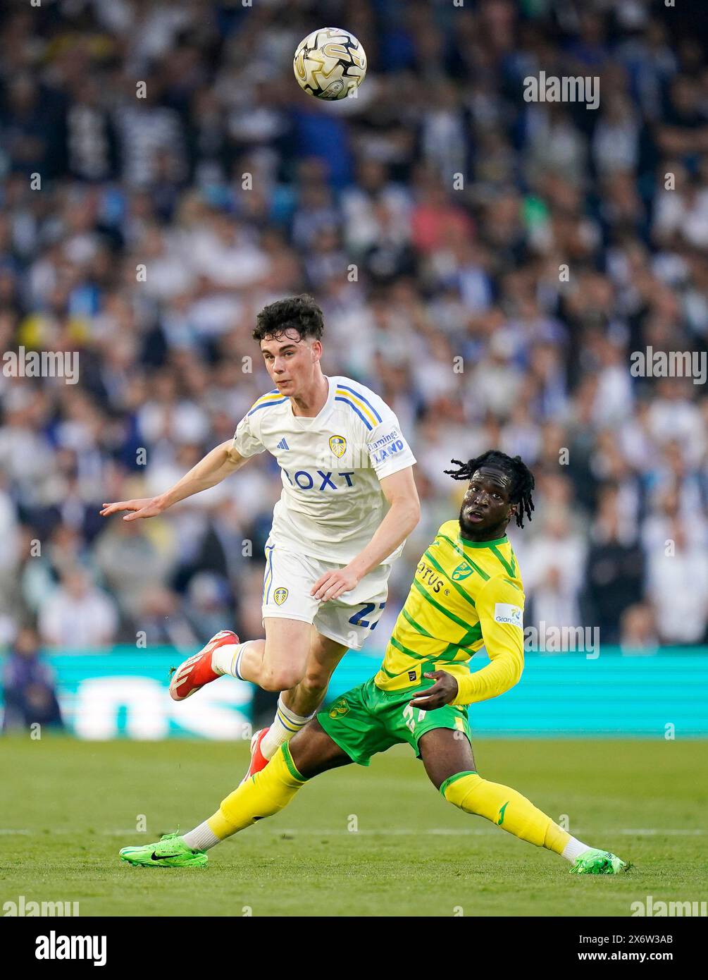 Archie gray hi-res stock photography and images - Alamy