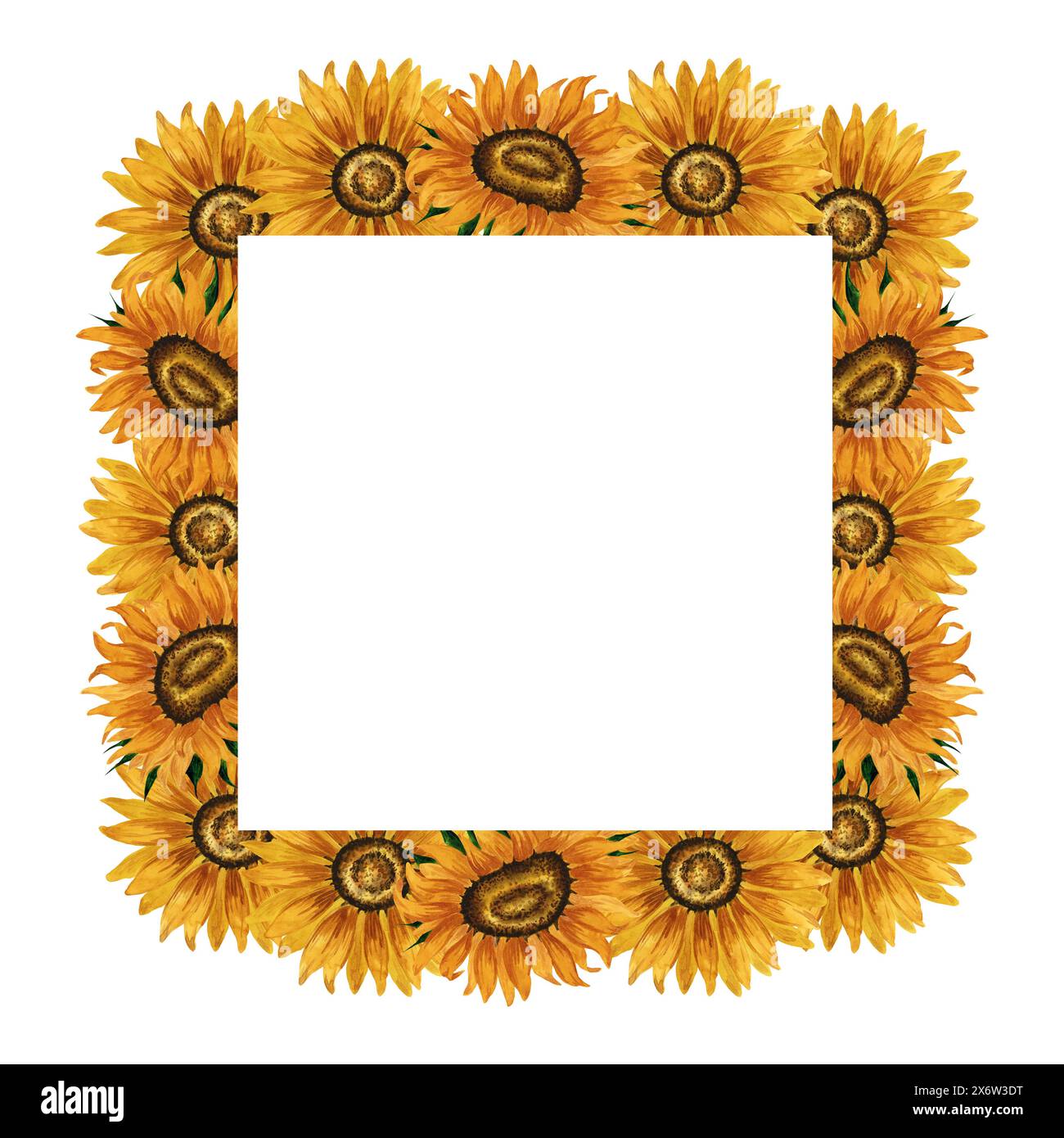 Watercolor sunflowers frame. Square frame with yellow flowers. Summer ...