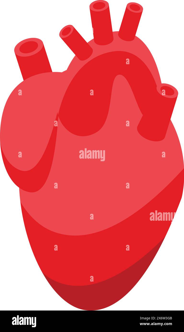 Detailed red human heart illustration for medical, cardiology, and ...