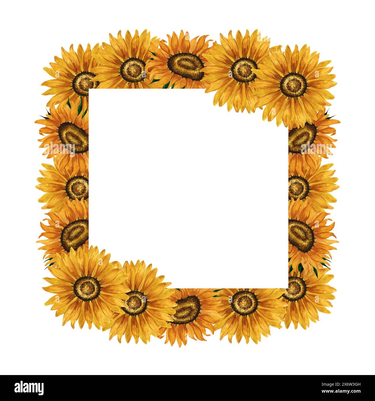 Square plant illustration Cut Out Stock Images & Pictures - Alamy