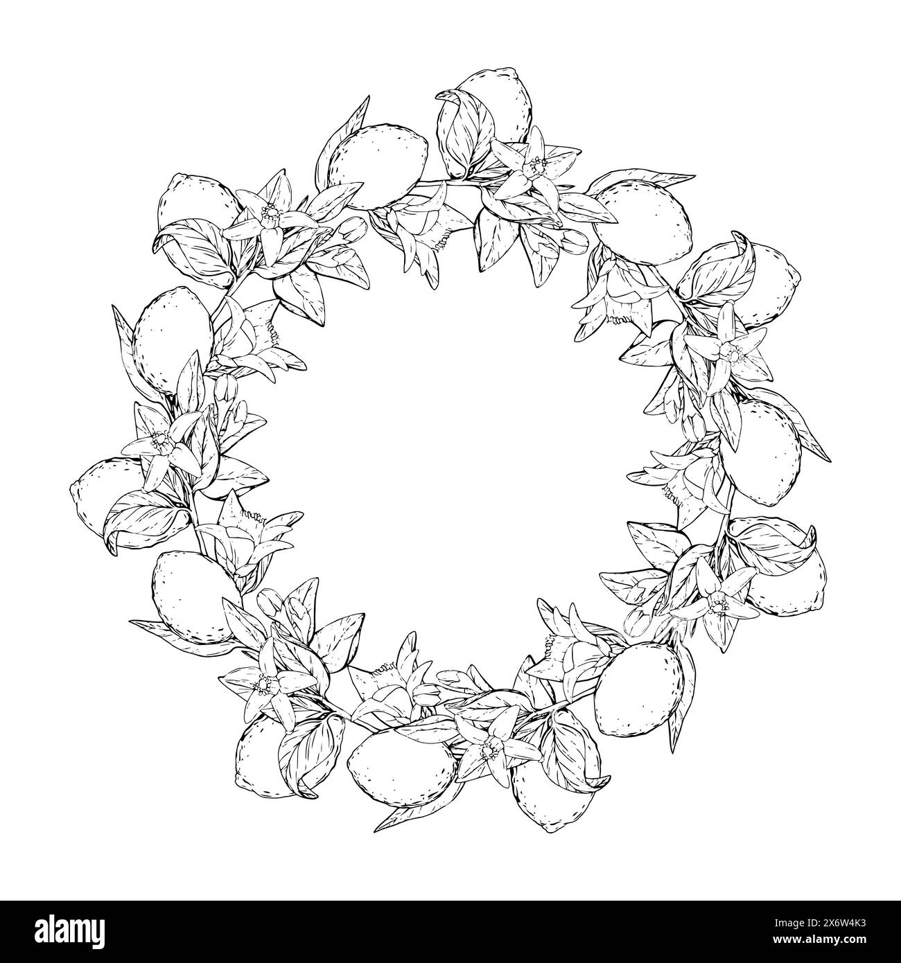 Wreath lemon tree branch with flowers in line art style, sketch. Hand ...