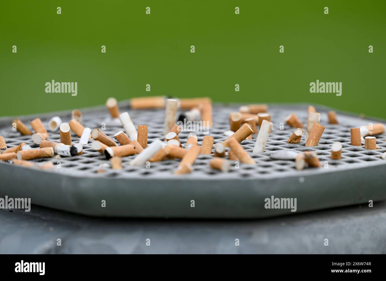 PRODUCTION - 15 May 2024, Hesse, Offenbach/Main: Cigarette butts are ...