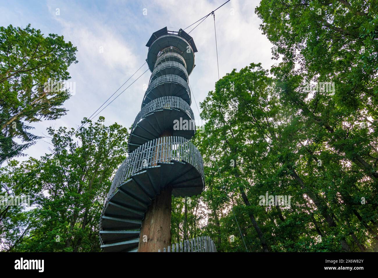 Observation tower, 28 meter high tree trunk with surrounding spiral ...