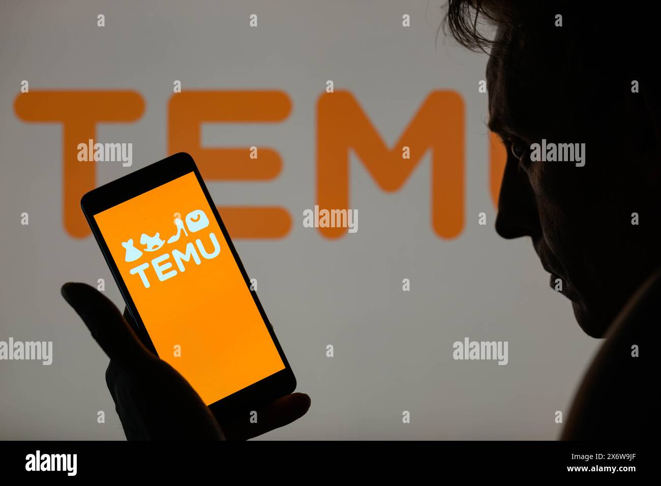 The Temu logo is displayed on a smartphone with Temu visible in the ...