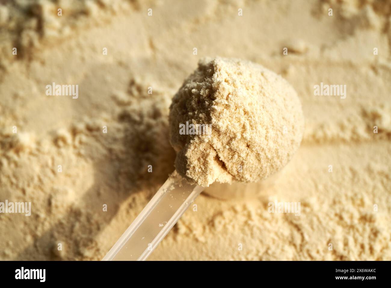 Whey protein powder in a plastic measuring cup Stock Photo - Alamy