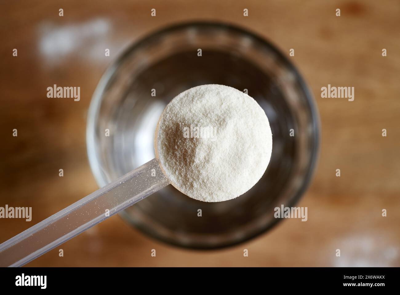 Collagen powder in a plastic measuring scoop above a glass of water ...