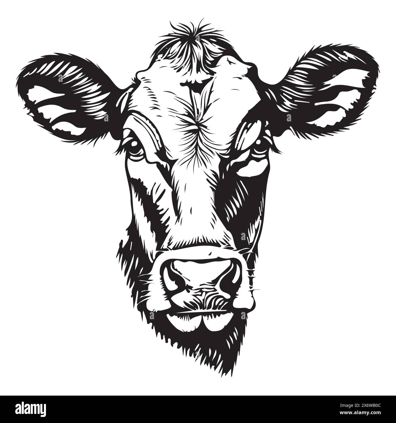 Cow Head Sketch Illustration. Engraving style isolated vector ...