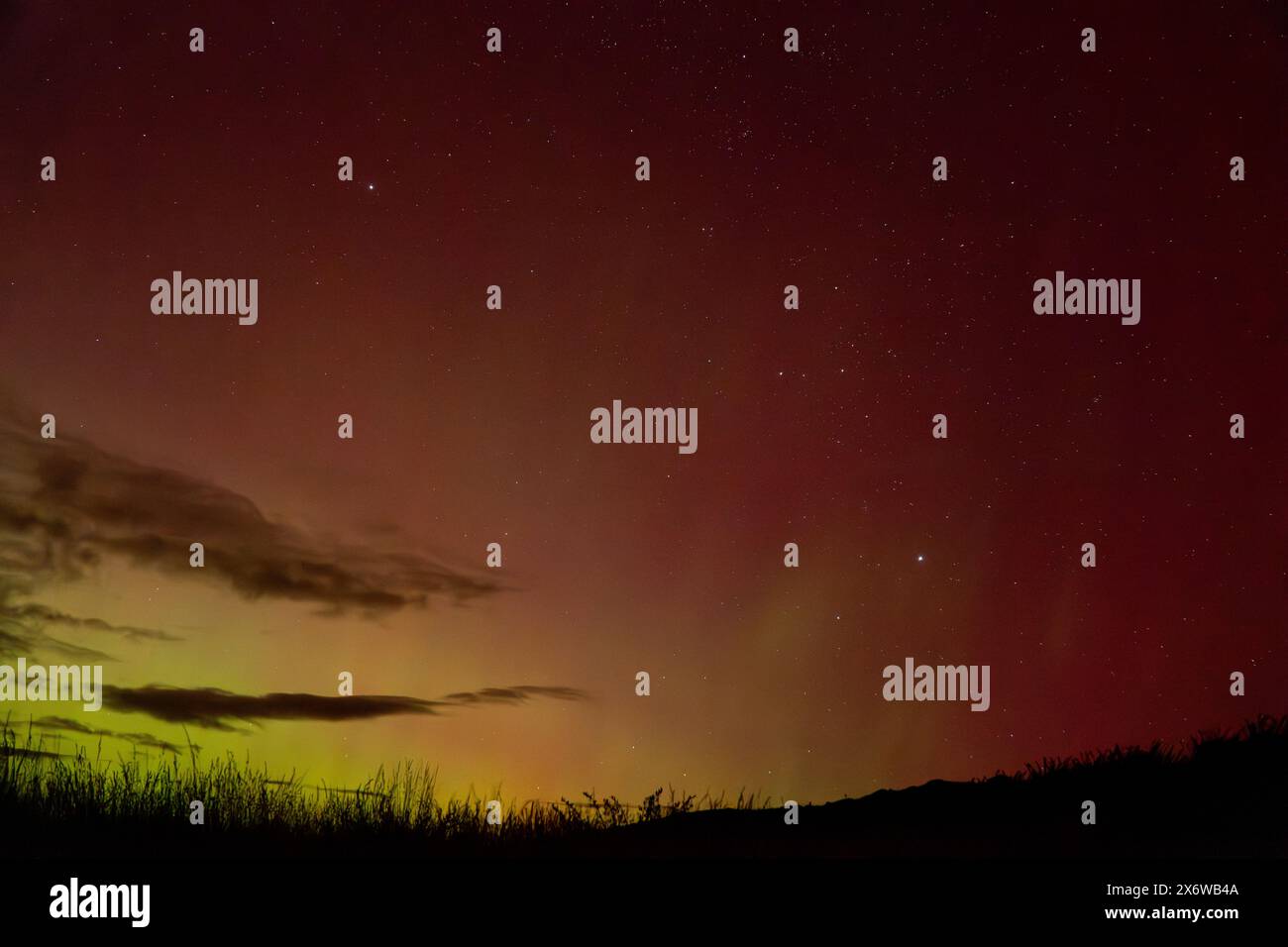 Yellow beams against the red glow of Aurora Australis with pink beams ...