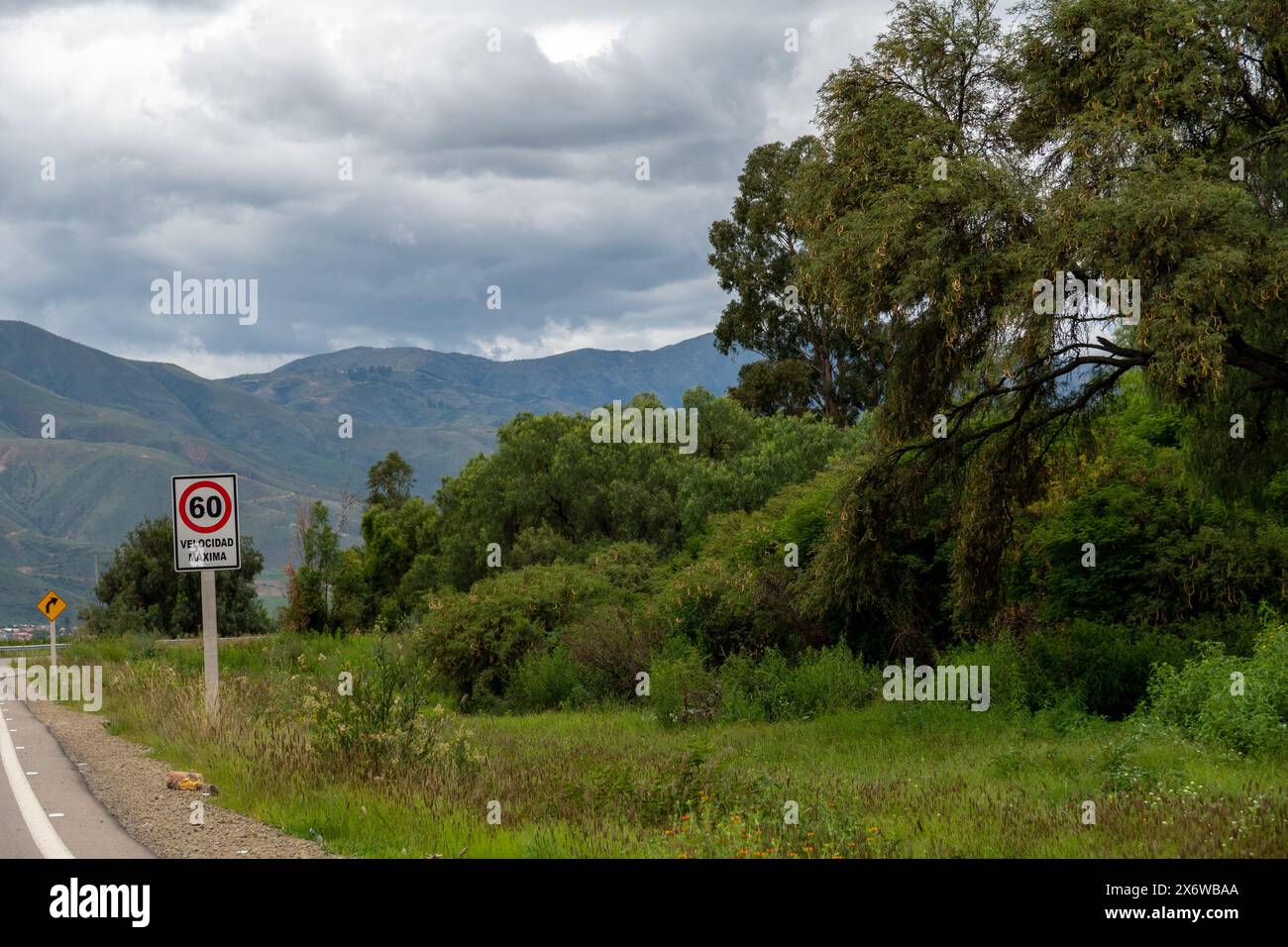 rural road, bend in the road with road signs, beautiful vegetation ...