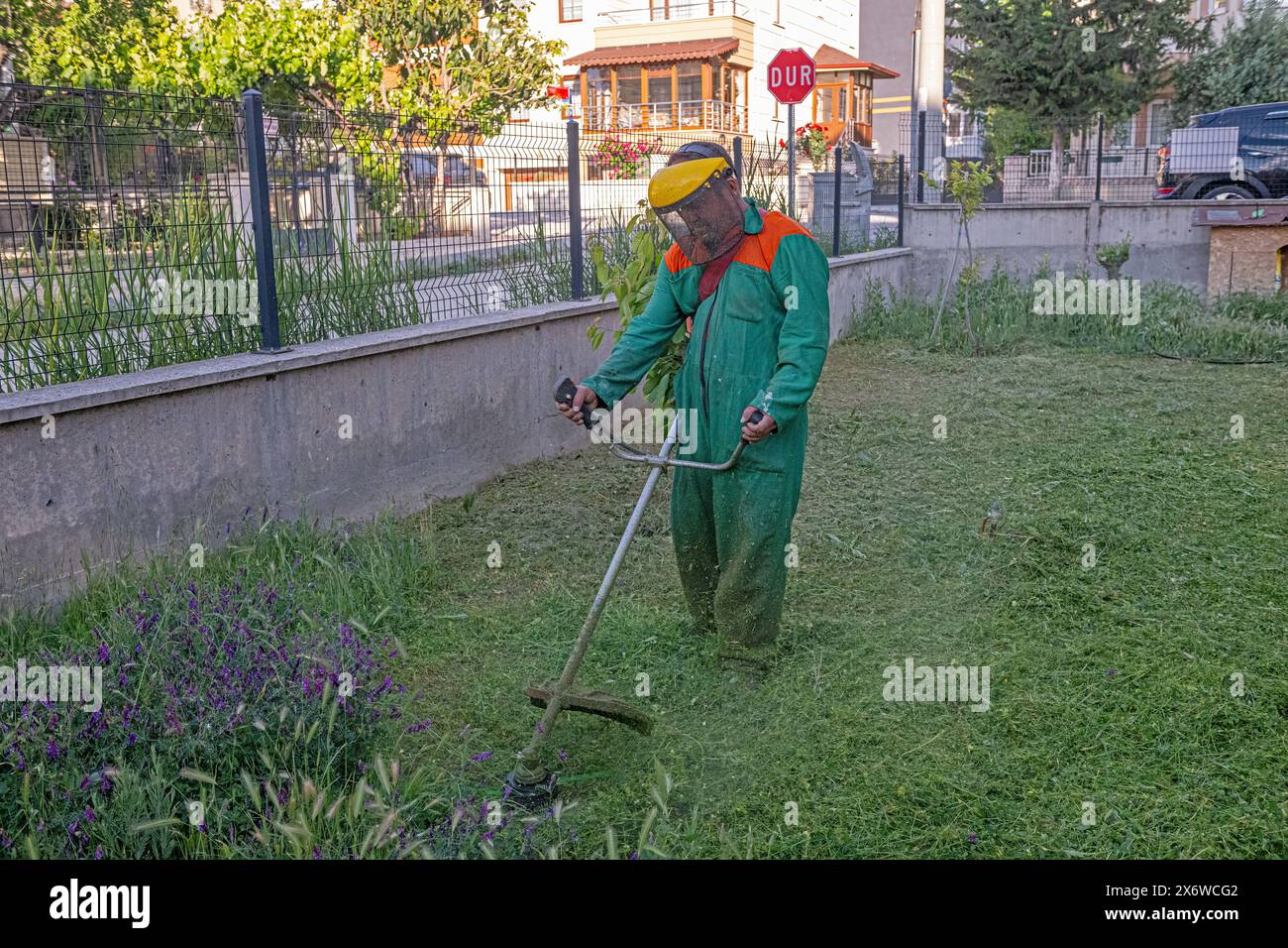 Farmer mowing green grass with a scythe in the garden Stock Photo - Alamy