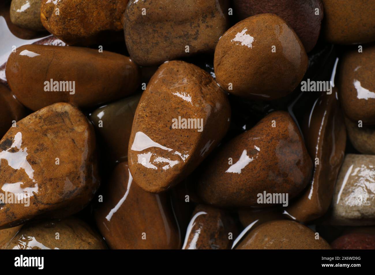 Beautiful pebbles in water as background, top view Stock Photo - Alamy