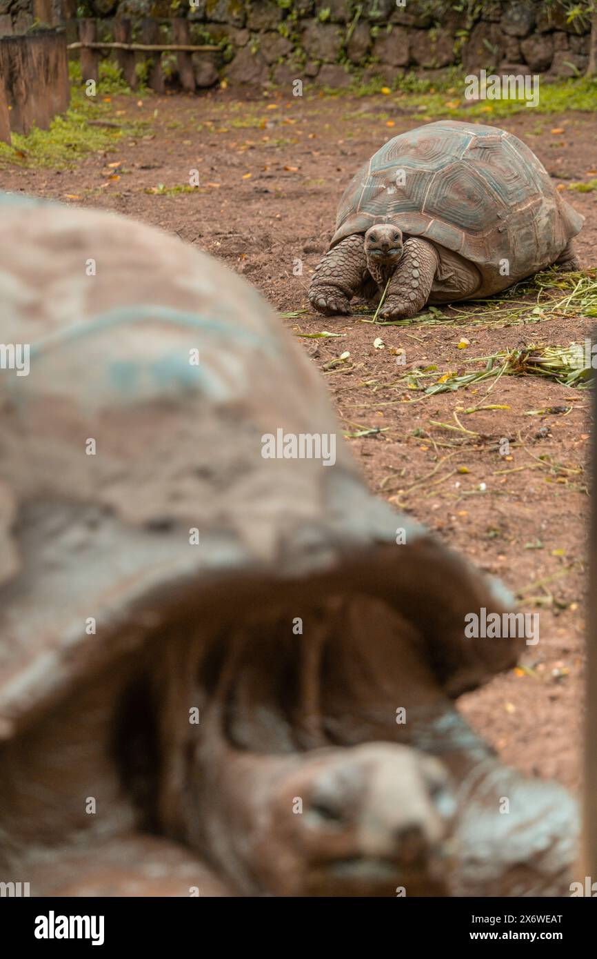 7 coloured earth hi-res stock photography and images - Alamy