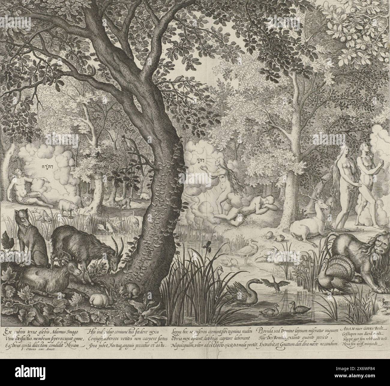 Creation of Adam and Eve, Royaalbijbel (series title), Paradise with ...