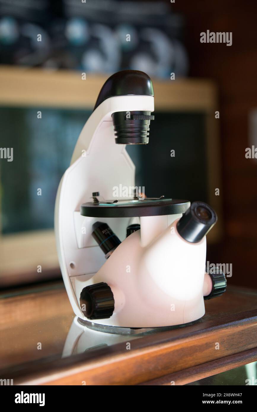 Microbiology concept laboratory research hi-res stock photography and ...