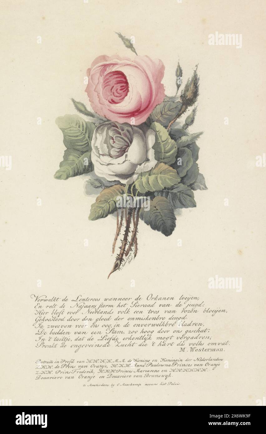 Roses with silhouette portraits of Willem I Frederik, King of the ...