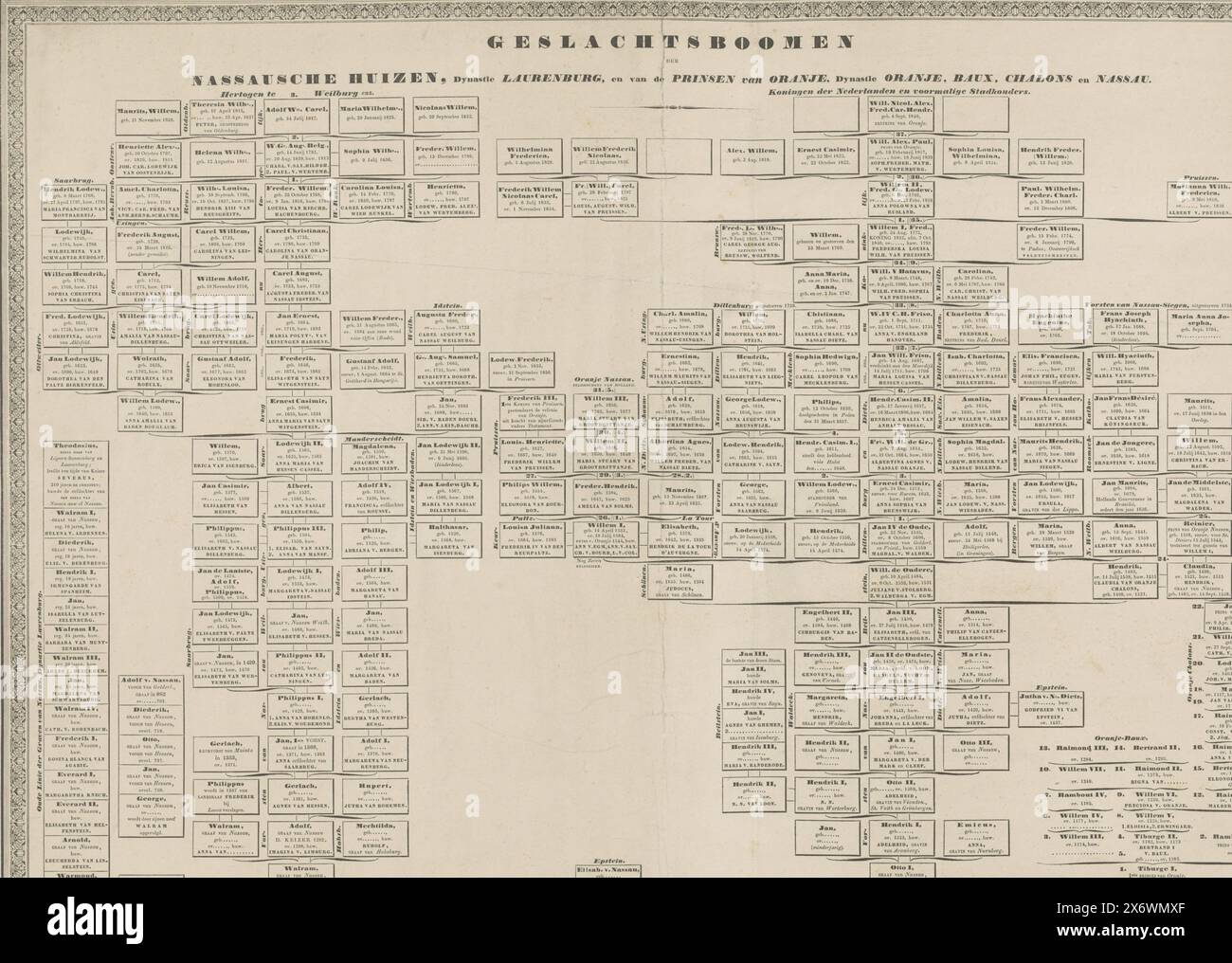 Family tree of the House of Nassau and the princes of Orange of the ...