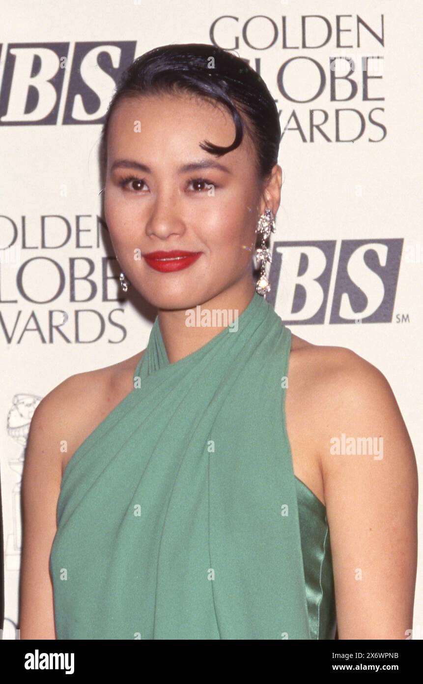 Vivian Lu at the 51st Annual Golden Globe Awards, Beverly Hilton Hotel ...