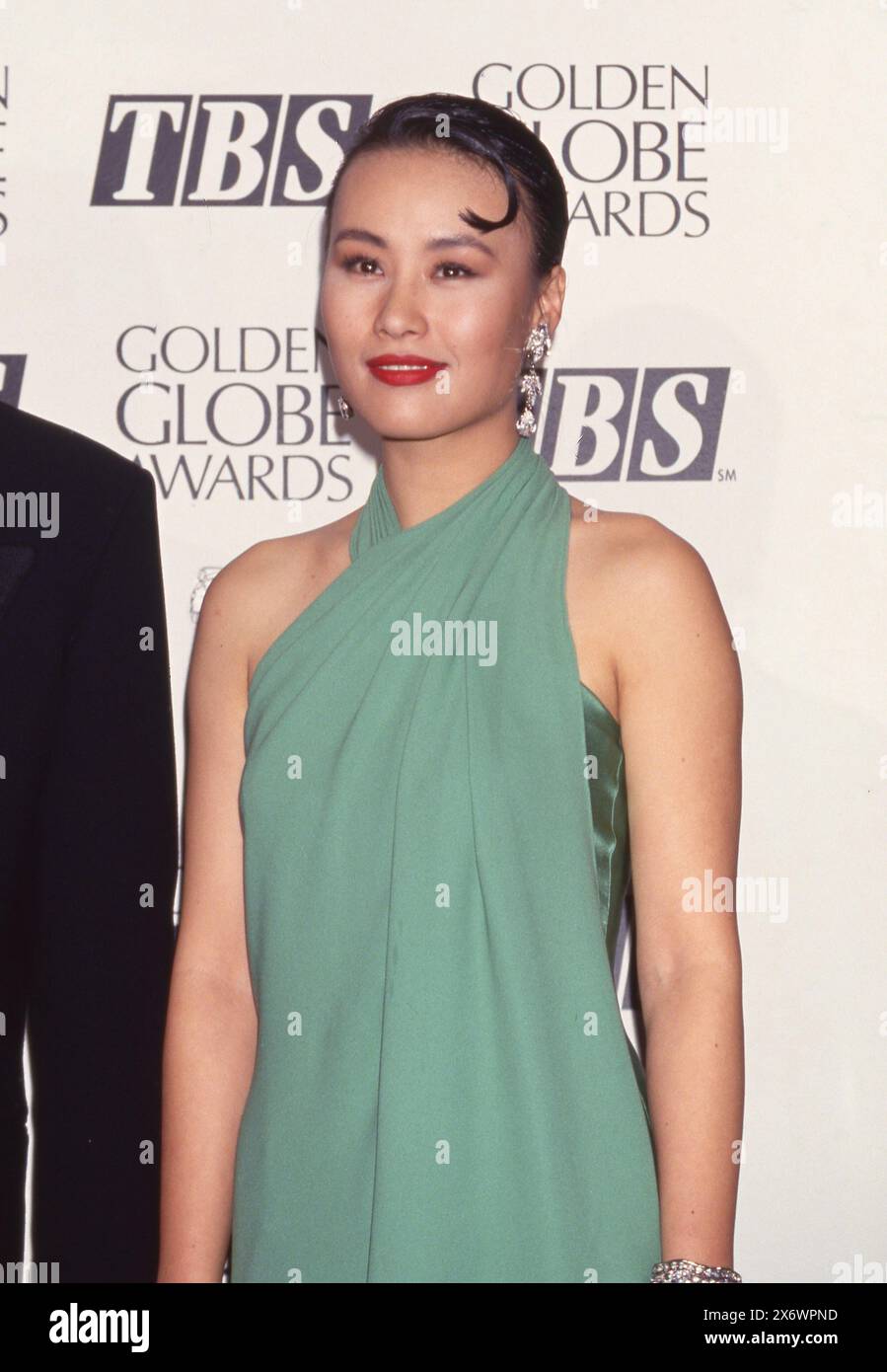 Vivian Lu at the 51st Annual Golden Globe Awards, Beverly Hilton Hotel ...