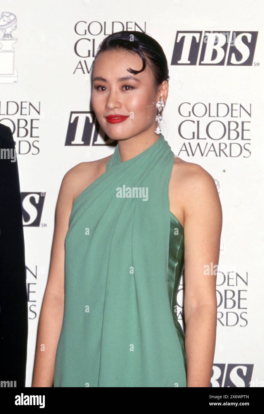 Vivian Lu at the 51st Annual Golden Globe Awards, Beverly Hilton Hotel ...