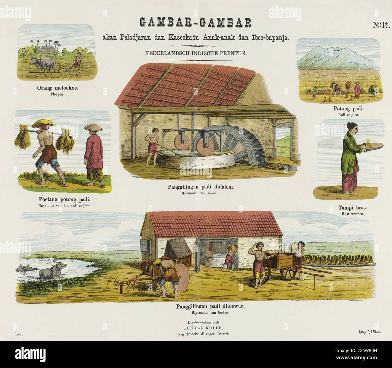 Rice production, Gambar-Gambar, Akan Peladjaran dan Kasoekaan Anak-anak ...