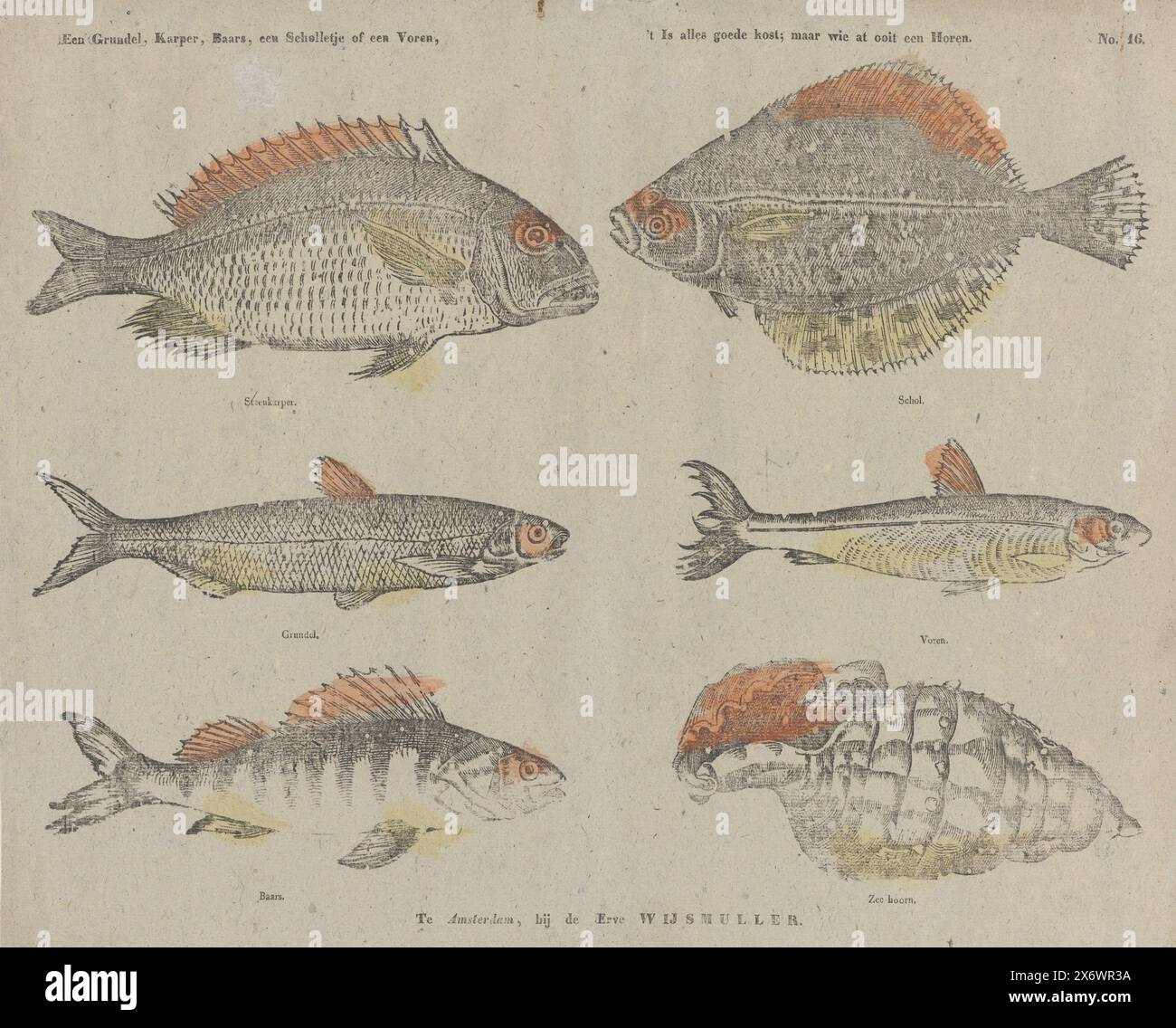 A grundel, carp, perch, a plaice or a furrow, It's like good food, but ...