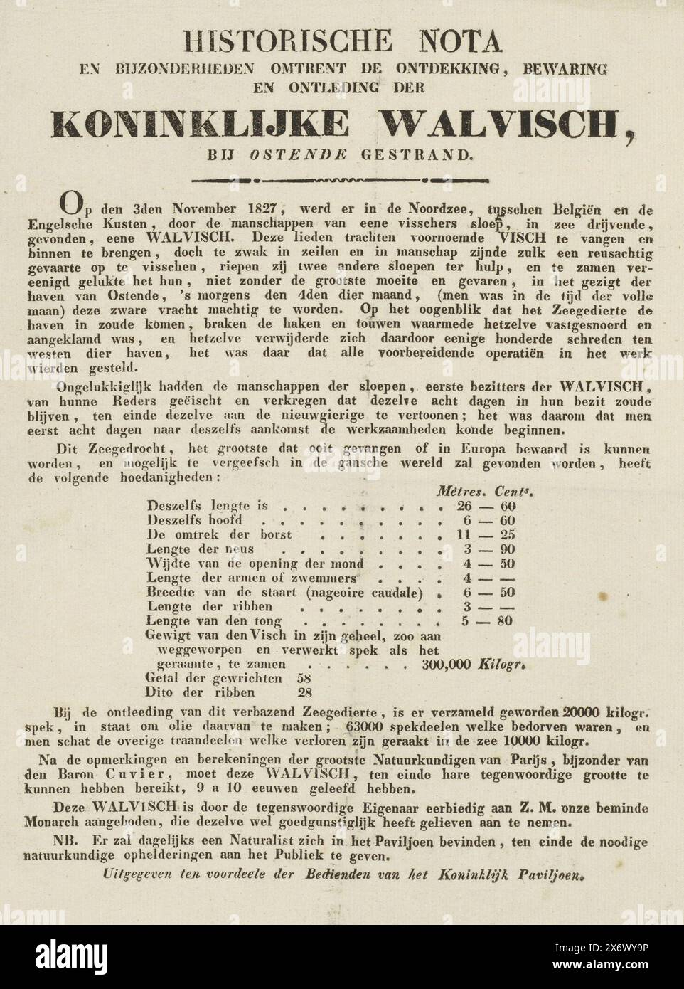 Information sheet about the skeleton of the whale in the Royal Pavilion ...