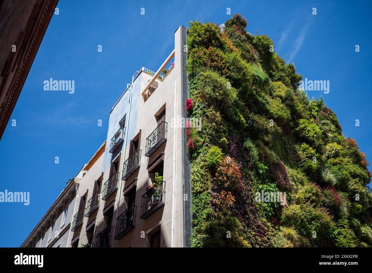 Caixa Forum vertical garden by Patrick Blanc, Madrid, Spain Stock Photo ...