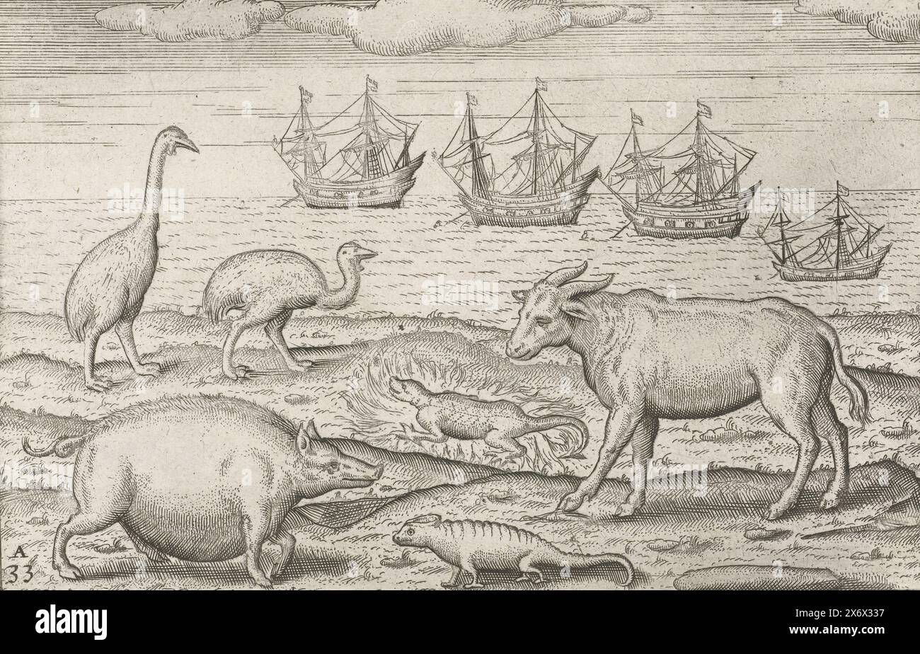 Animals of Java, 1596, Animals of Java, 1596. Cassowary, salamander and ...