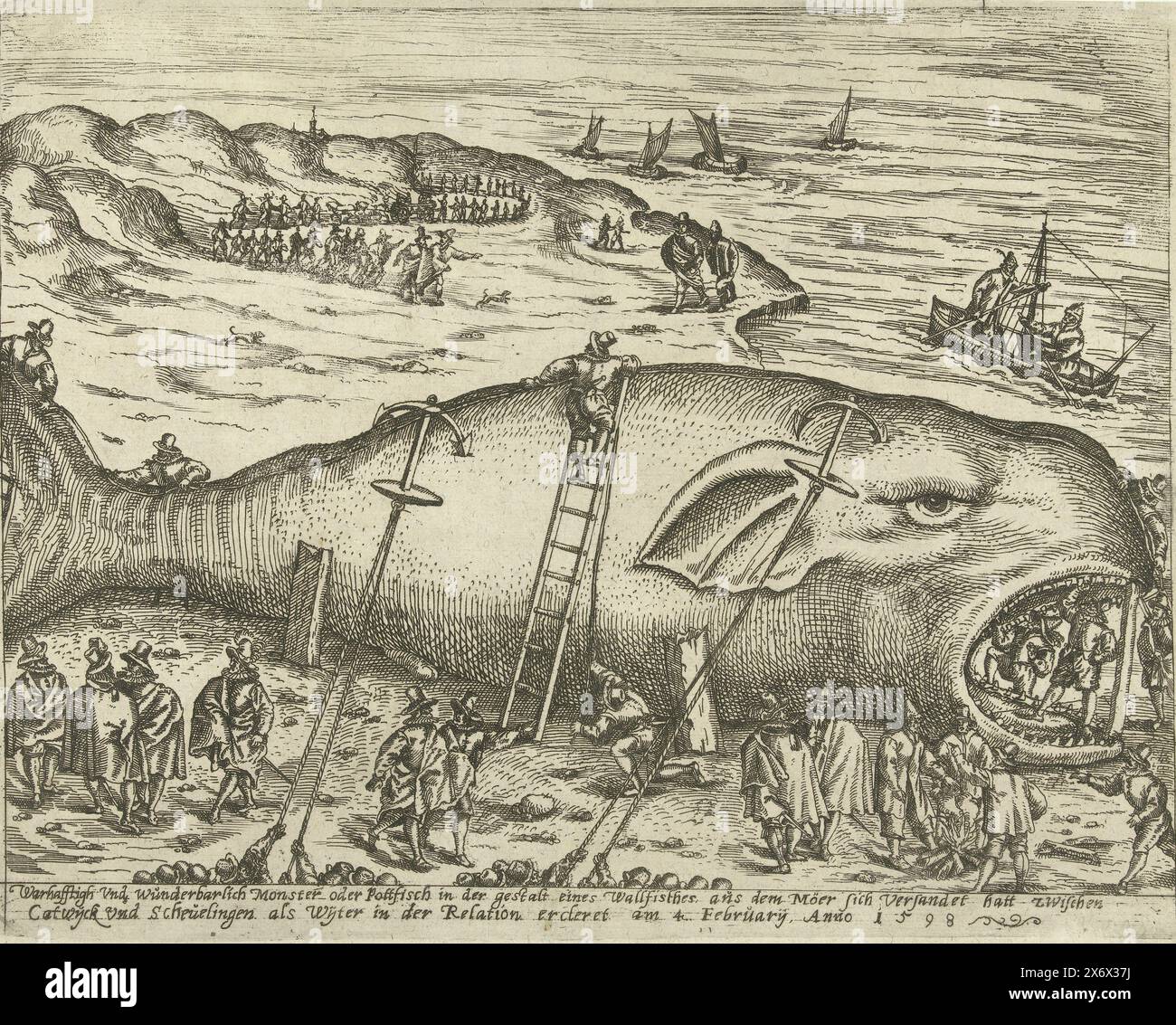 Sperm whale secured hi-res stock photography and images - Alamy