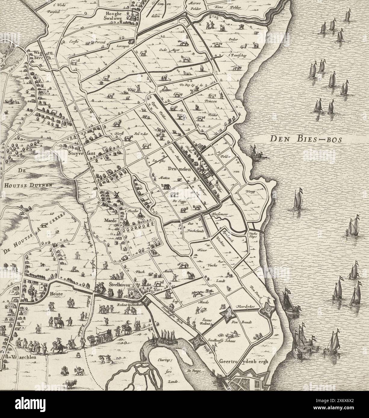 Fortissimae hi-res stock photography and images - Alamy