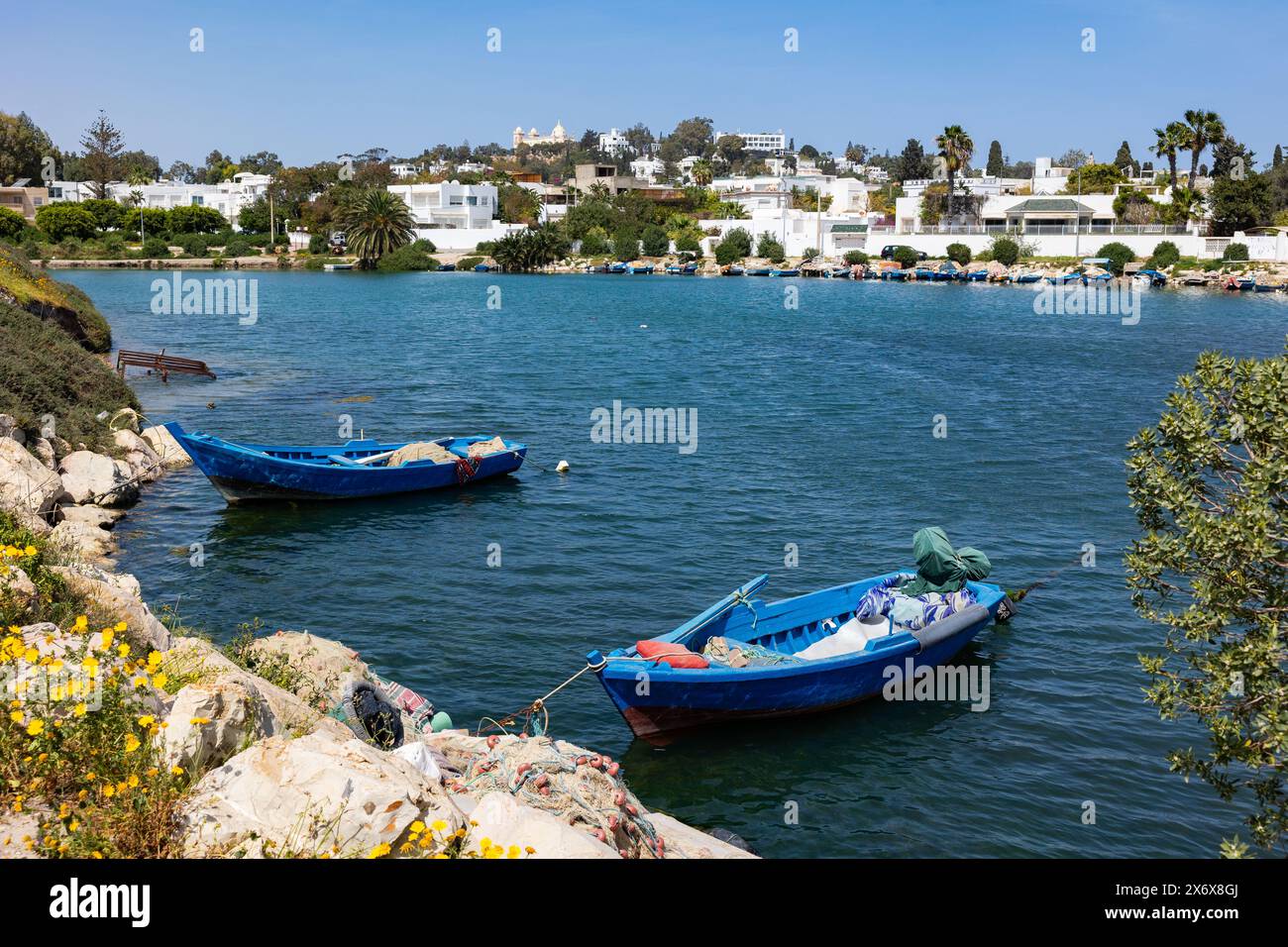 Ancient ruins and columns on territory of historical museum of Carthage ...