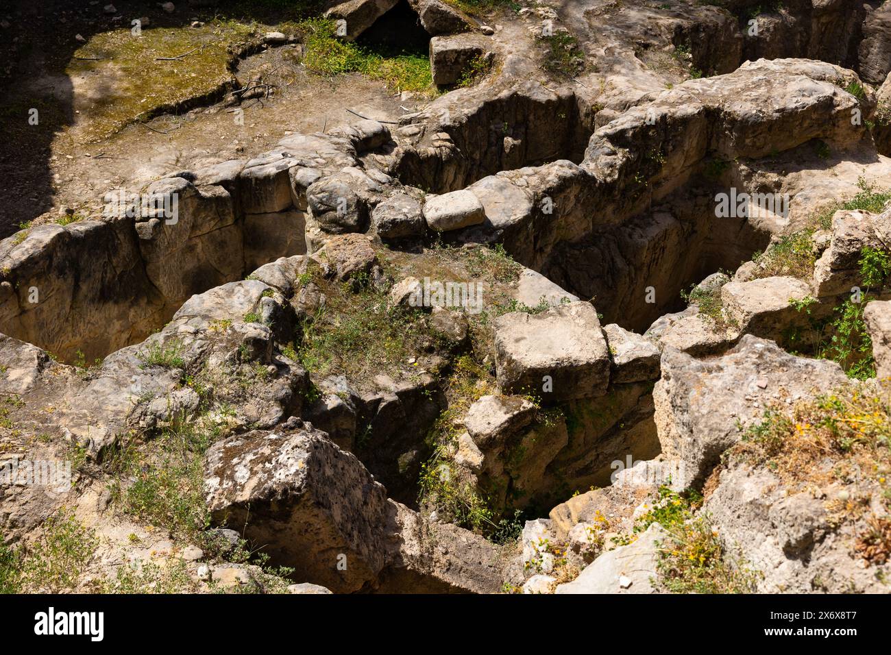 Foundation of the building during Roman Punic wars. Punic necropolis ...