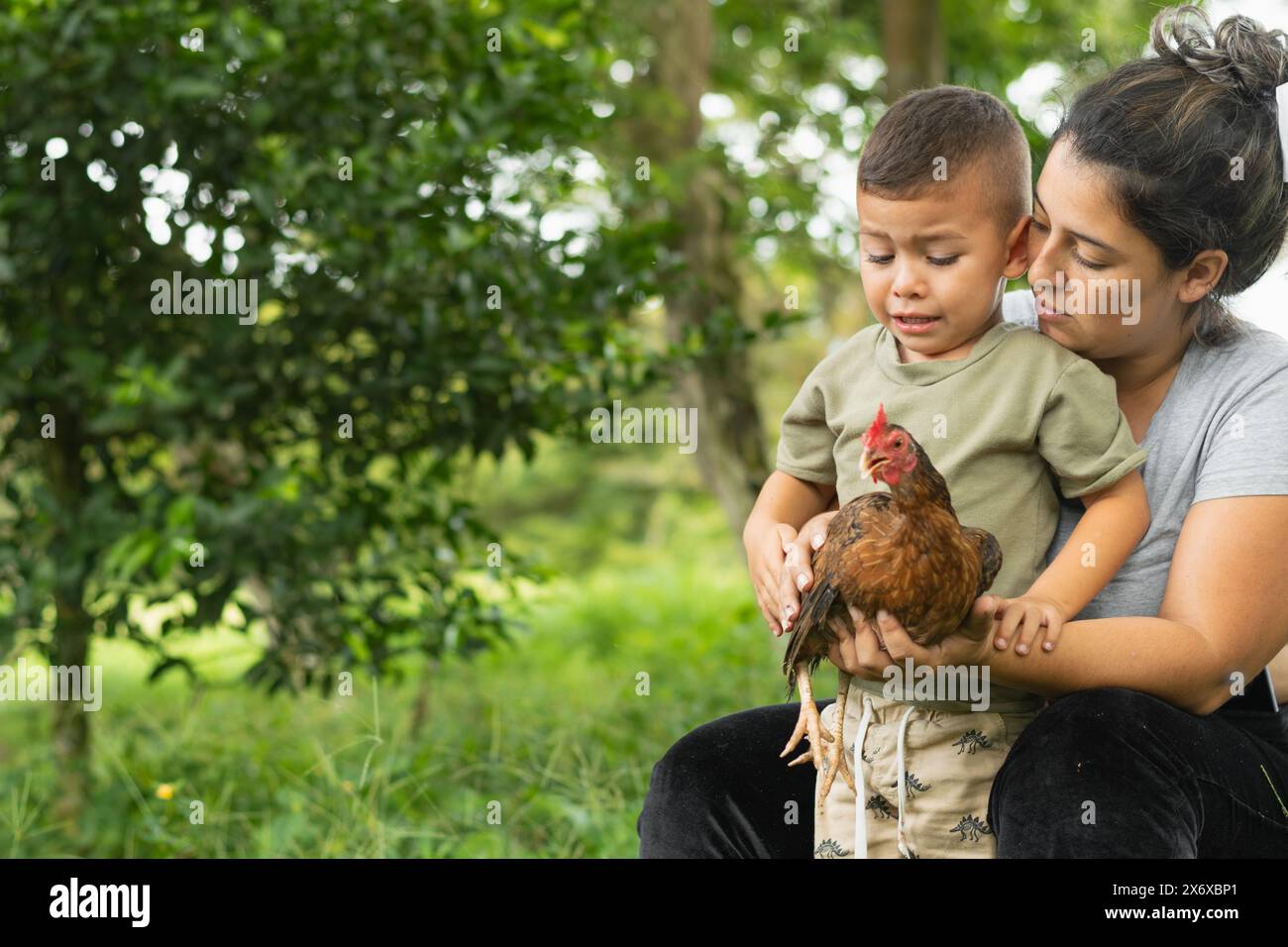 latina mother showing her son a chicken, boy afraid of chicken Stock ...