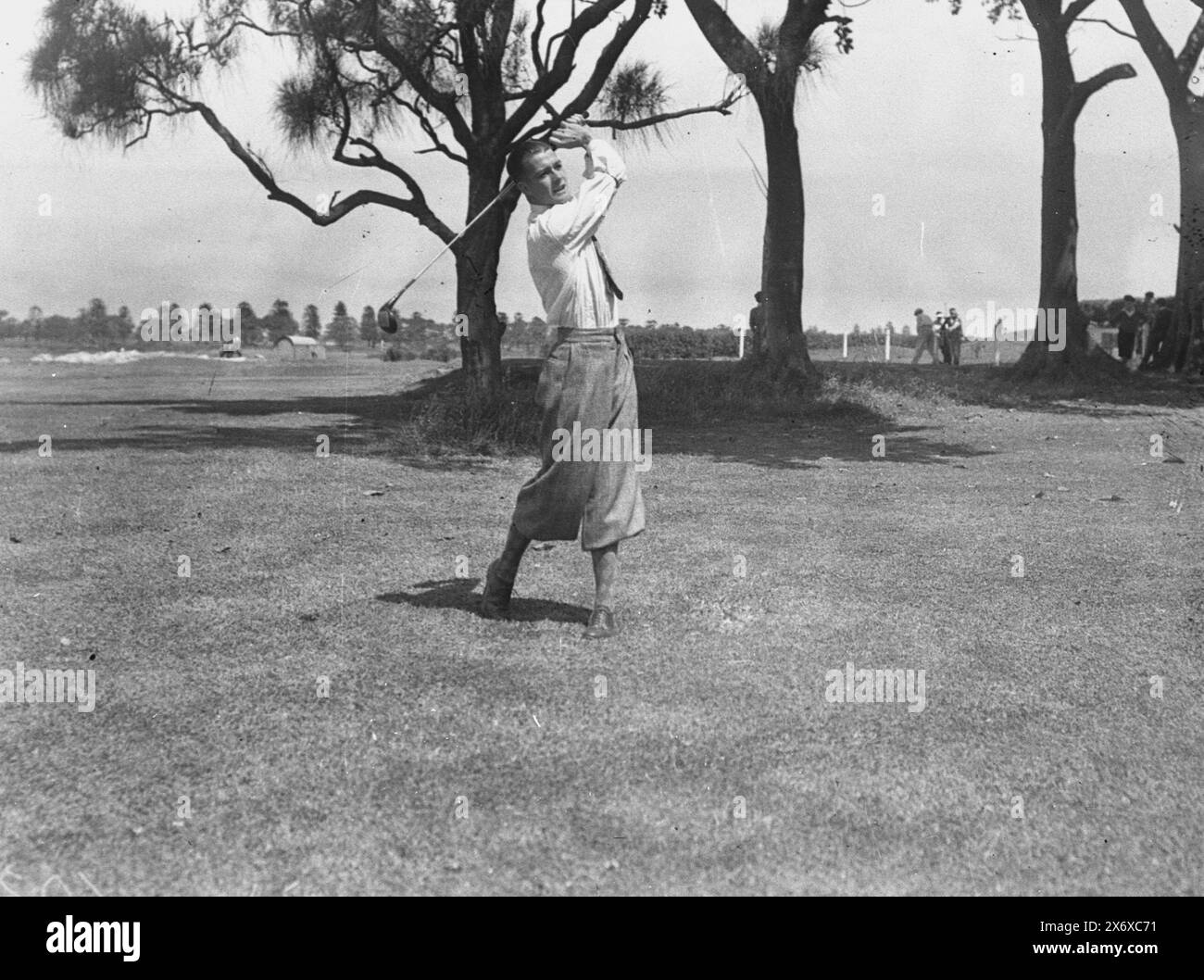 Unidentified golfer makes a practice swing, in 'plus-fours'. Vintage ...