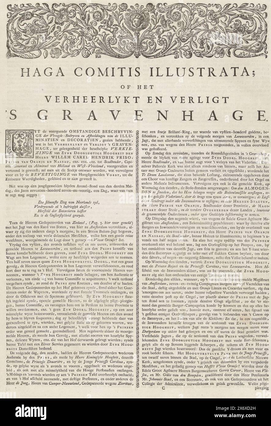 Haga comitis illustrata hi-res stock photography and images - Alamy