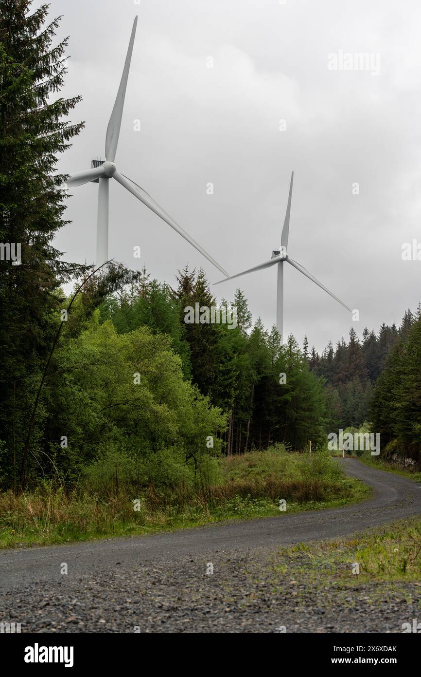 Two wind turbines stand tall above a lush forest, with a winding path ...