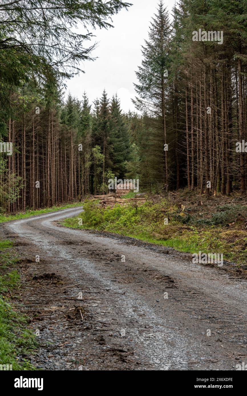 Scenic winding road through tall hi-res stock photography and images ...