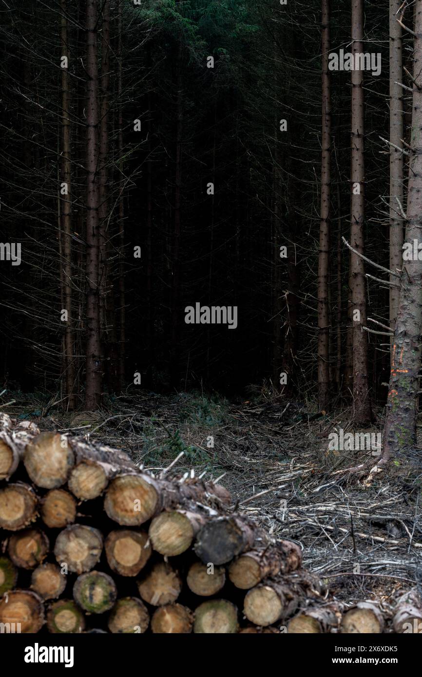 Tree storage entrance hi-res stock photography and images - Alamy