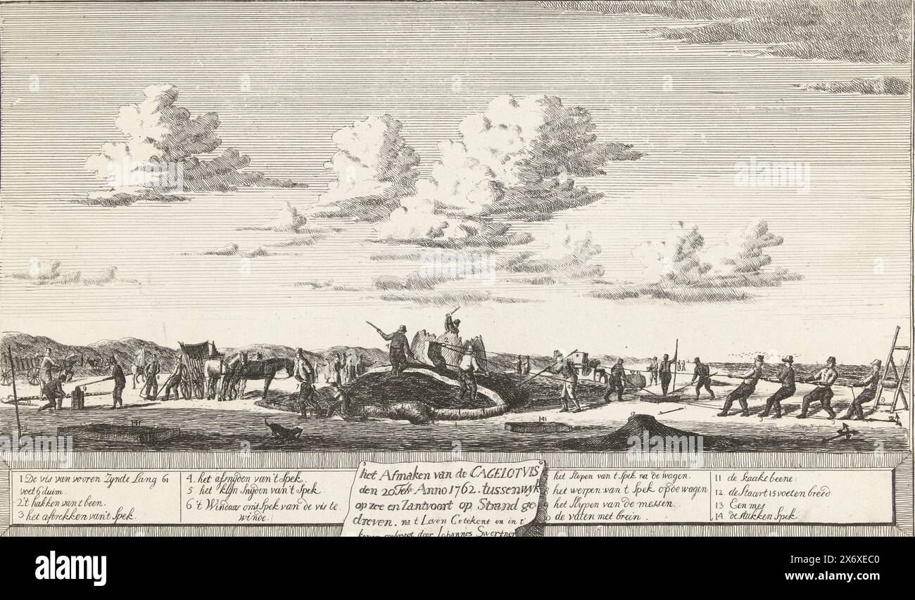 Rope brain hi-res stock photography and images - Alamy