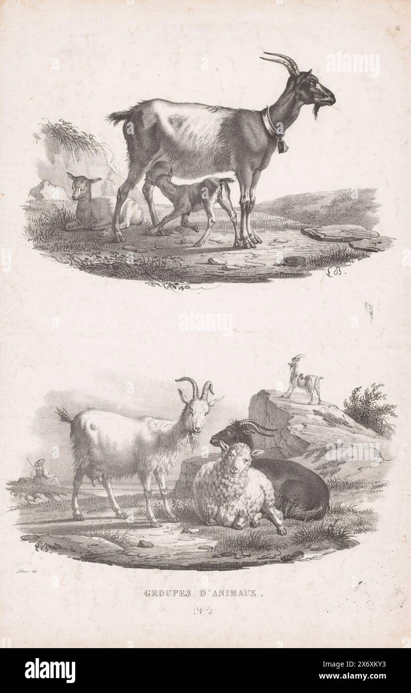 Nursing goat and shepherdess with sheep and goats, Depictions of groups ...