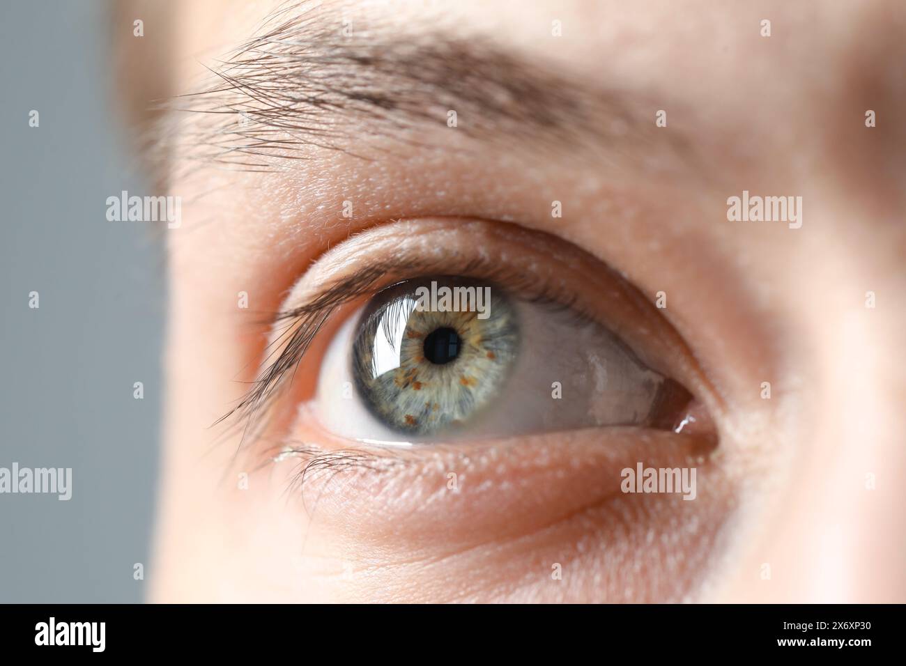 Perfect vision. Man with beautiful eyes on grey background, closeup ...