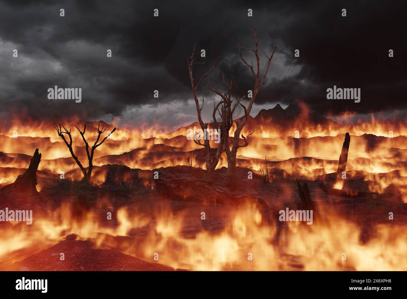 Burning Landscape With Charred Trees Stock Photo - Alamy