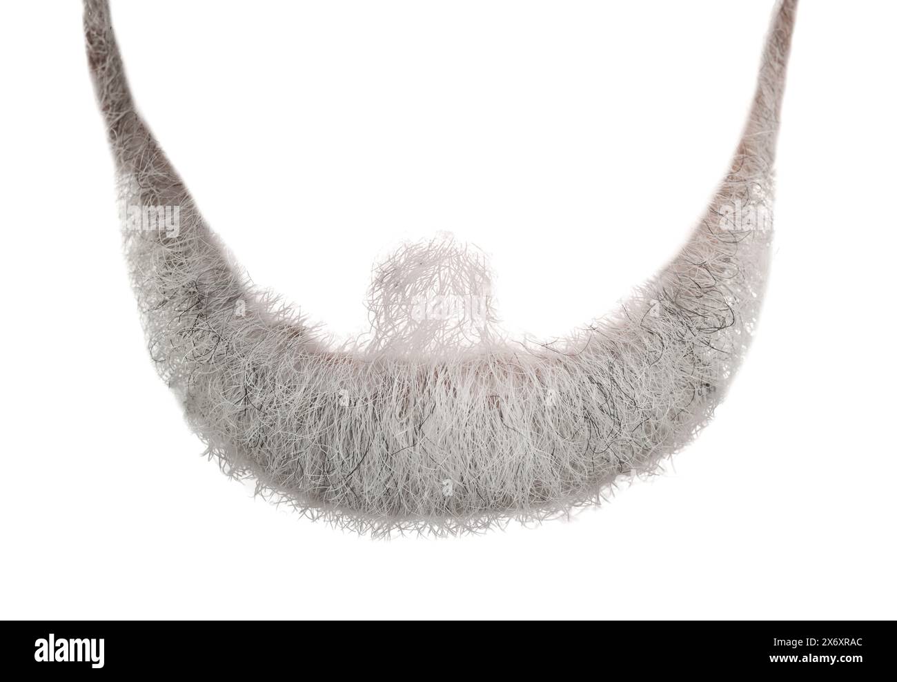Stylish gray beard isolated on white. Facial hair Stock Photo - Alamy