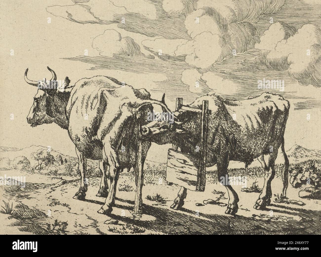 Two standing cows, Cows and sheep (series title), print, print maker ...