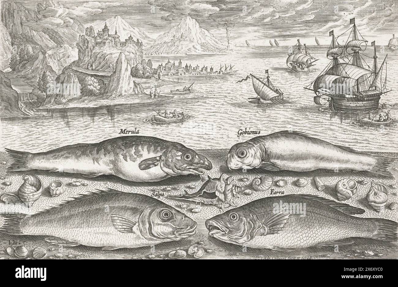 Four fish on the beach, Pisces (series title), Piscivm vivae icones ...