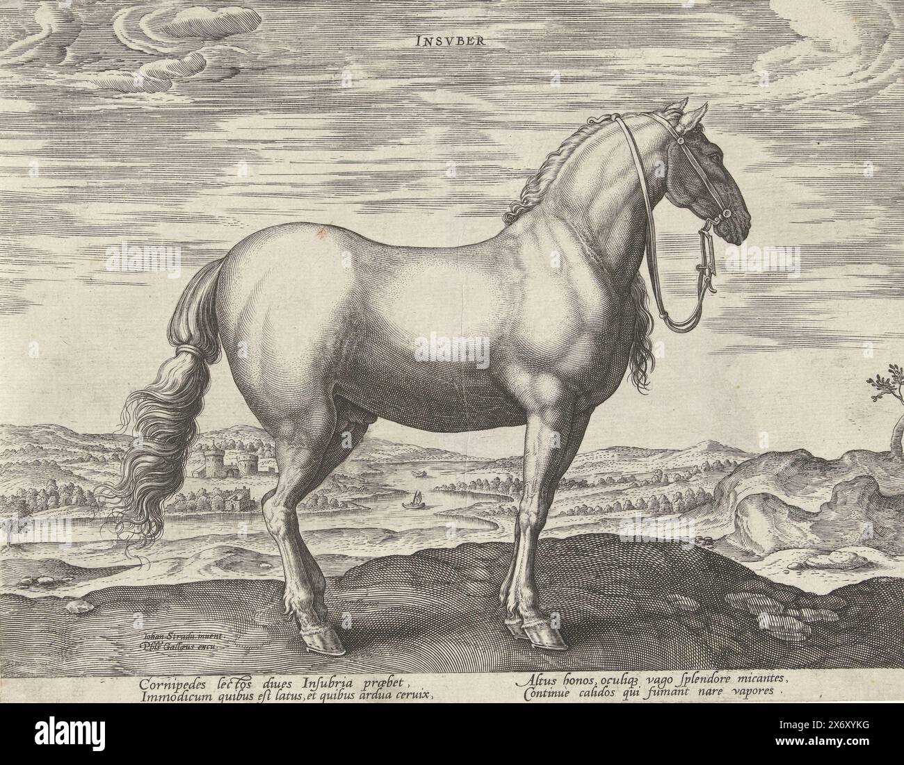 Insvber hi-res stock photography and images - Alamy