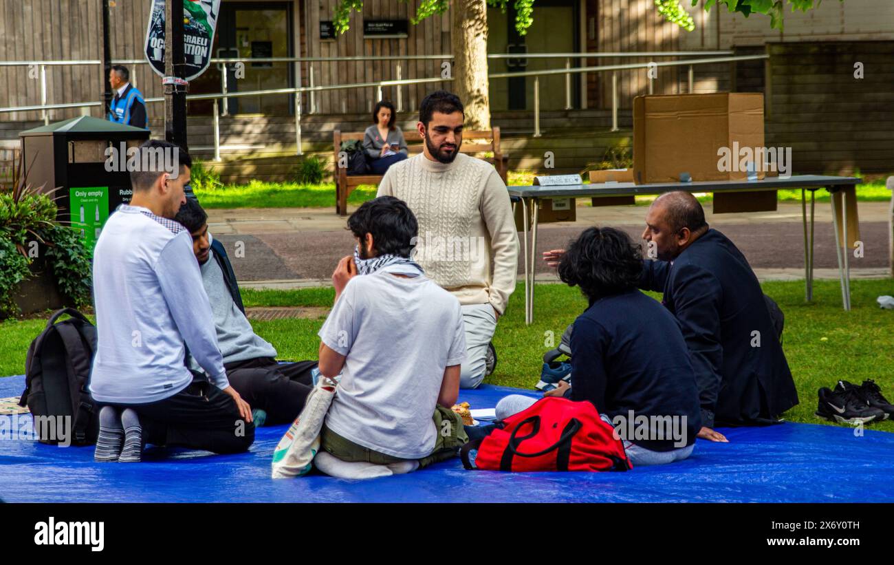 Student Activist encampment at UCL main campus Stock Photo - Alamy
