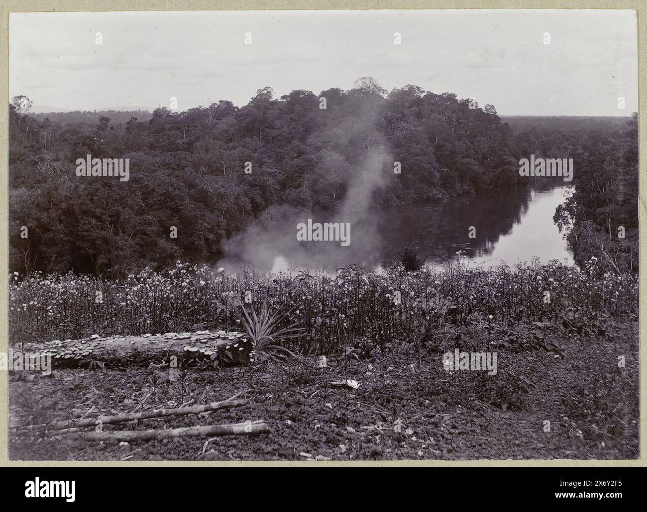 River landscape, Landscape with jungle and river. Photo in the photo ...